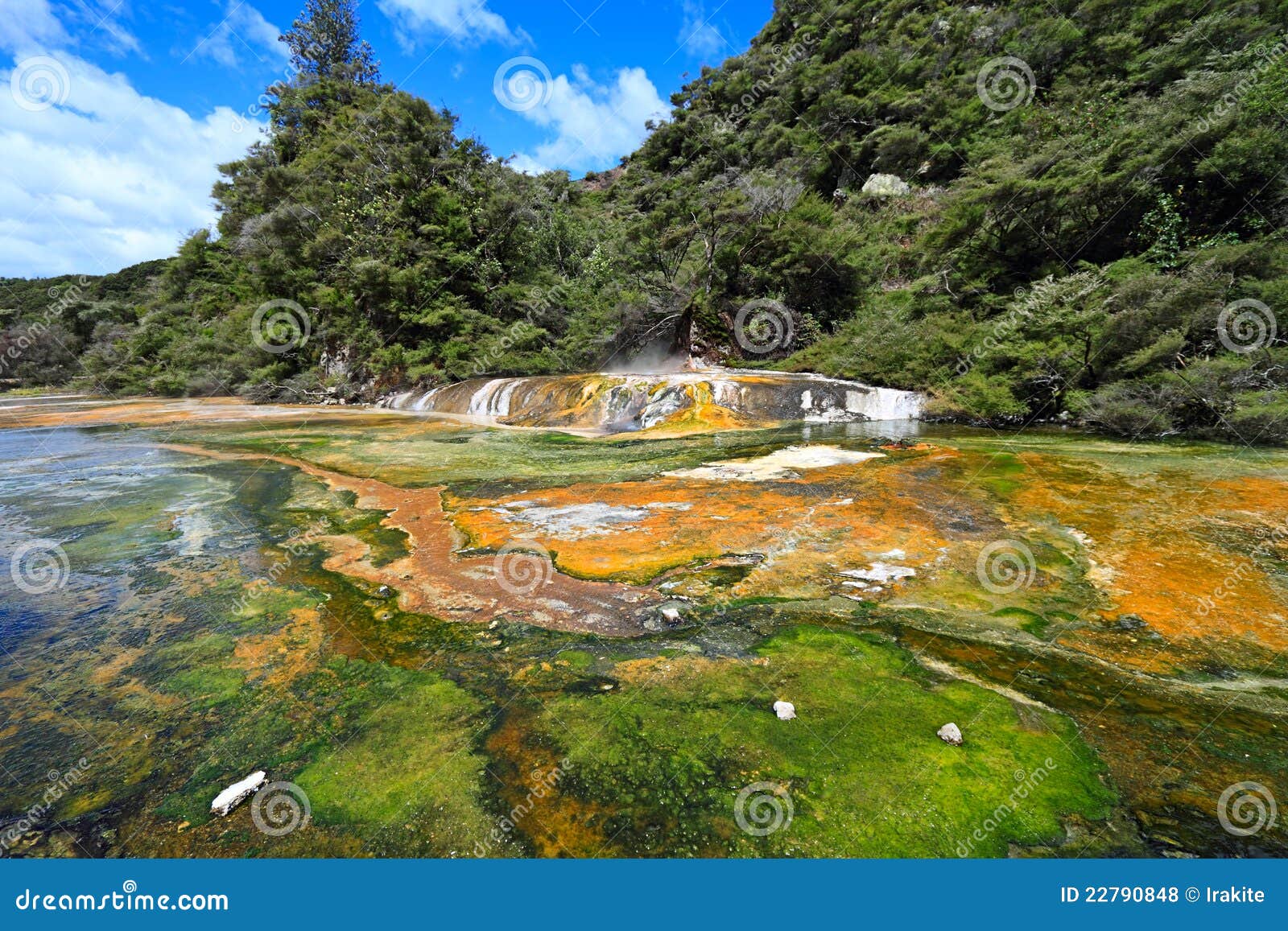Waimangu Volcanic Rift Valley Stock Photo - Image of green, heat: 22790848