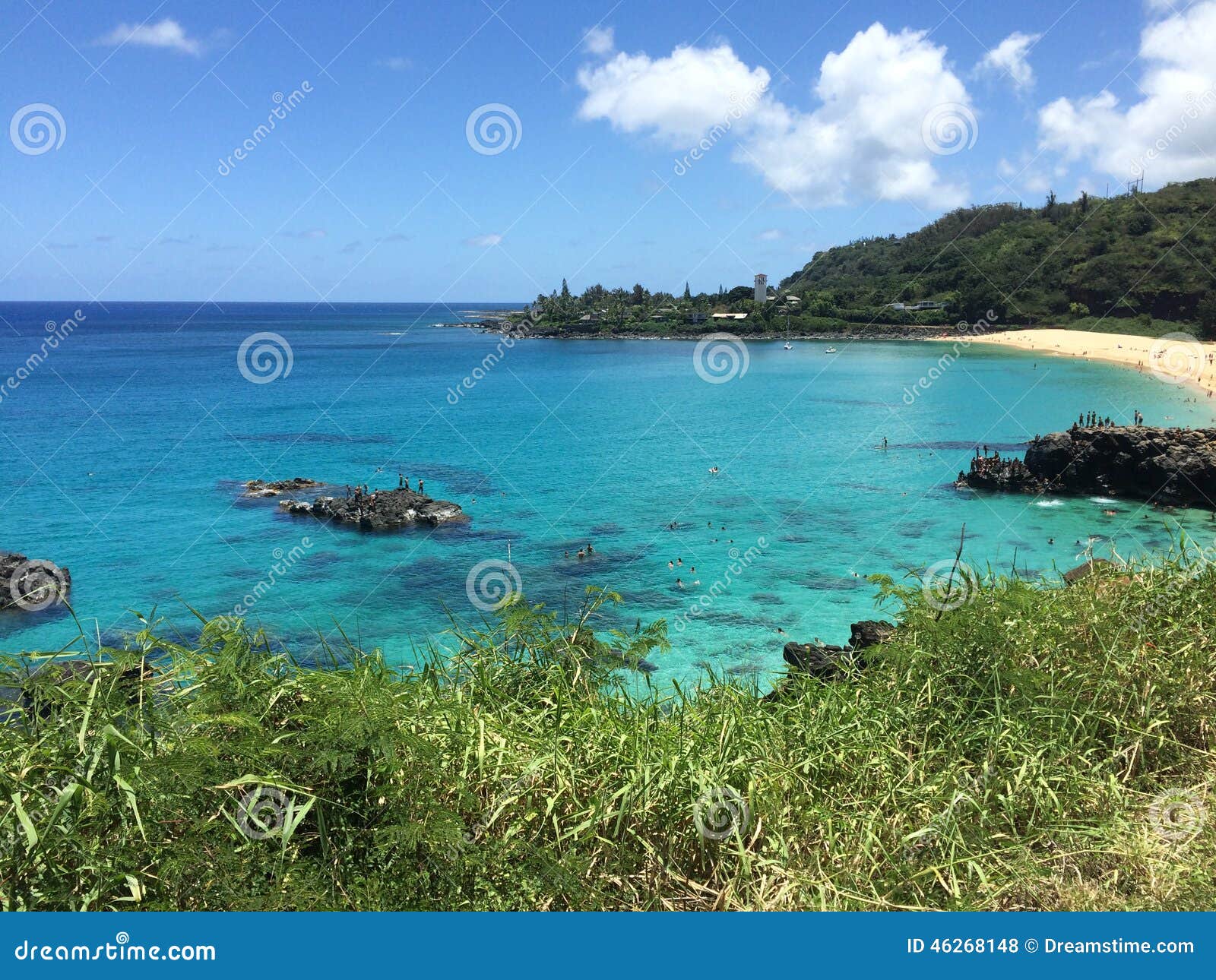 Waimea Bay stock photo. Image of jump, hawaii, waimea - 46268148