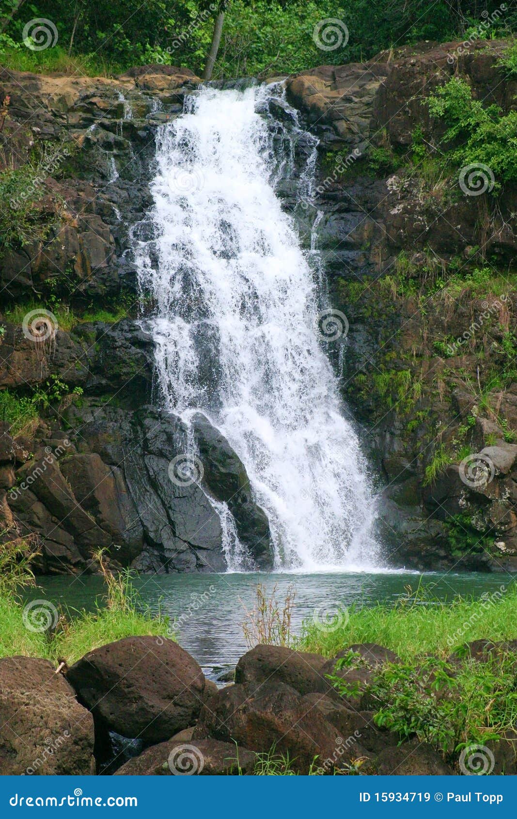 Waimea Falls Waterfall in Hawaii Stock Image - Image of pond, water ...