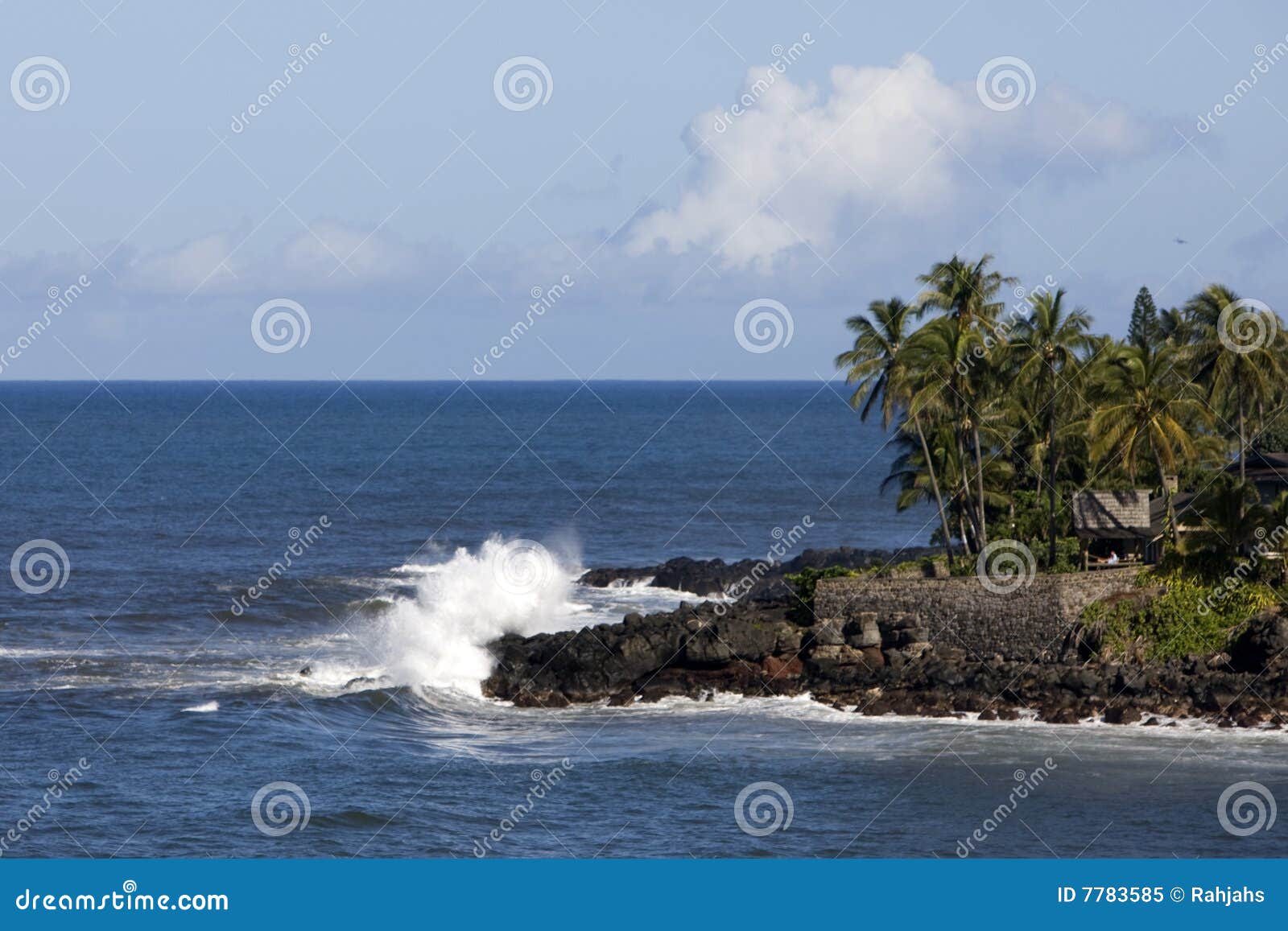 Waimea Point stock image. Image of oahu, hawaii, trees - 7783585