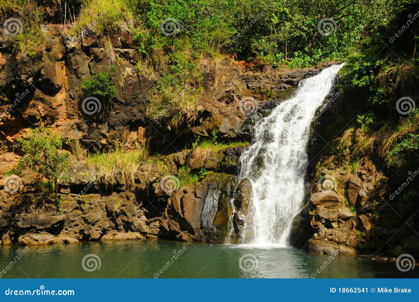 Waimea Valley Waterfall, Oahu Hawaii Stock Image - Image of falls, oahu ...