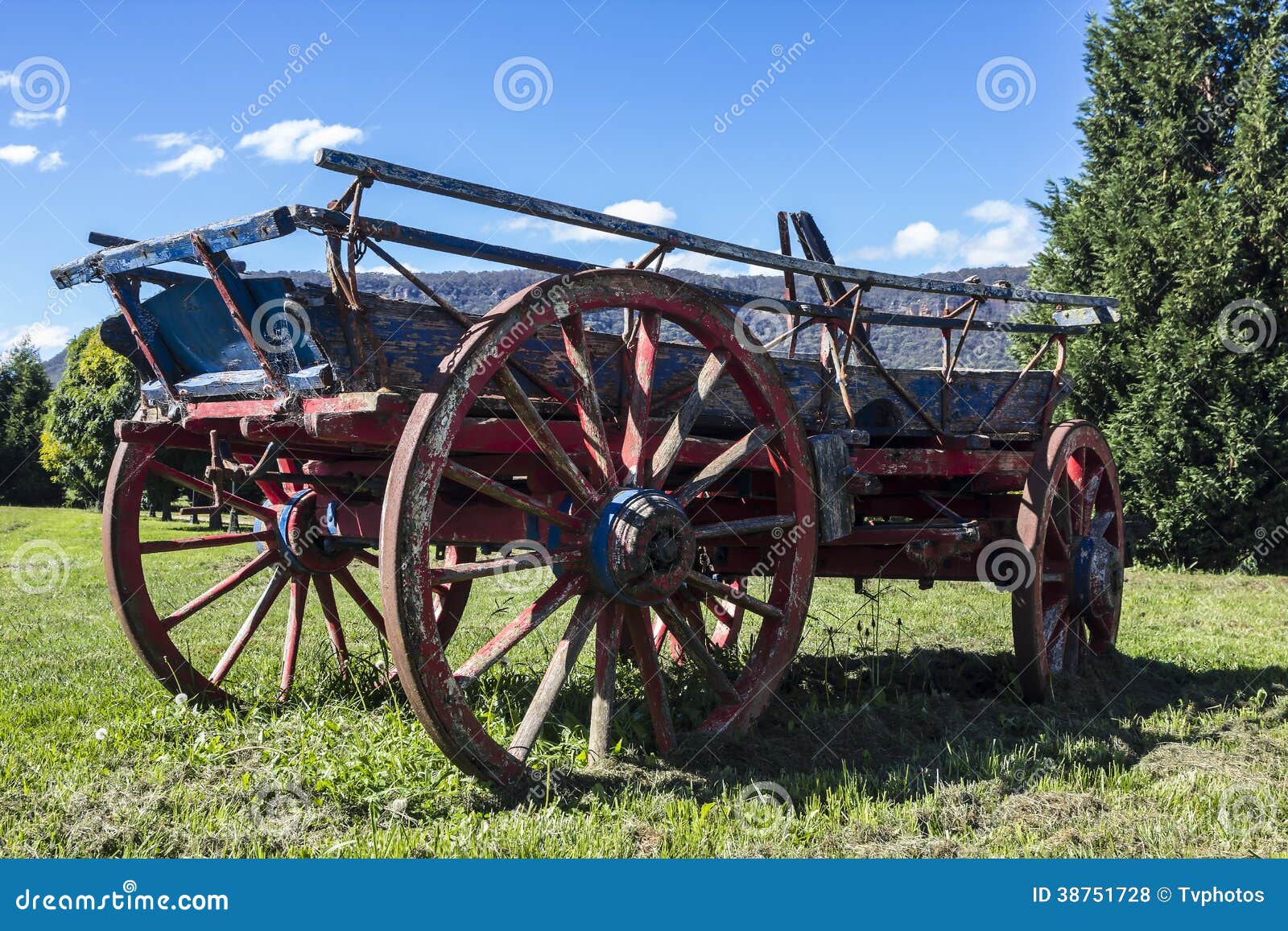 Wain stock photo. Image of cart, grass, vehicle, haywain - 38751728