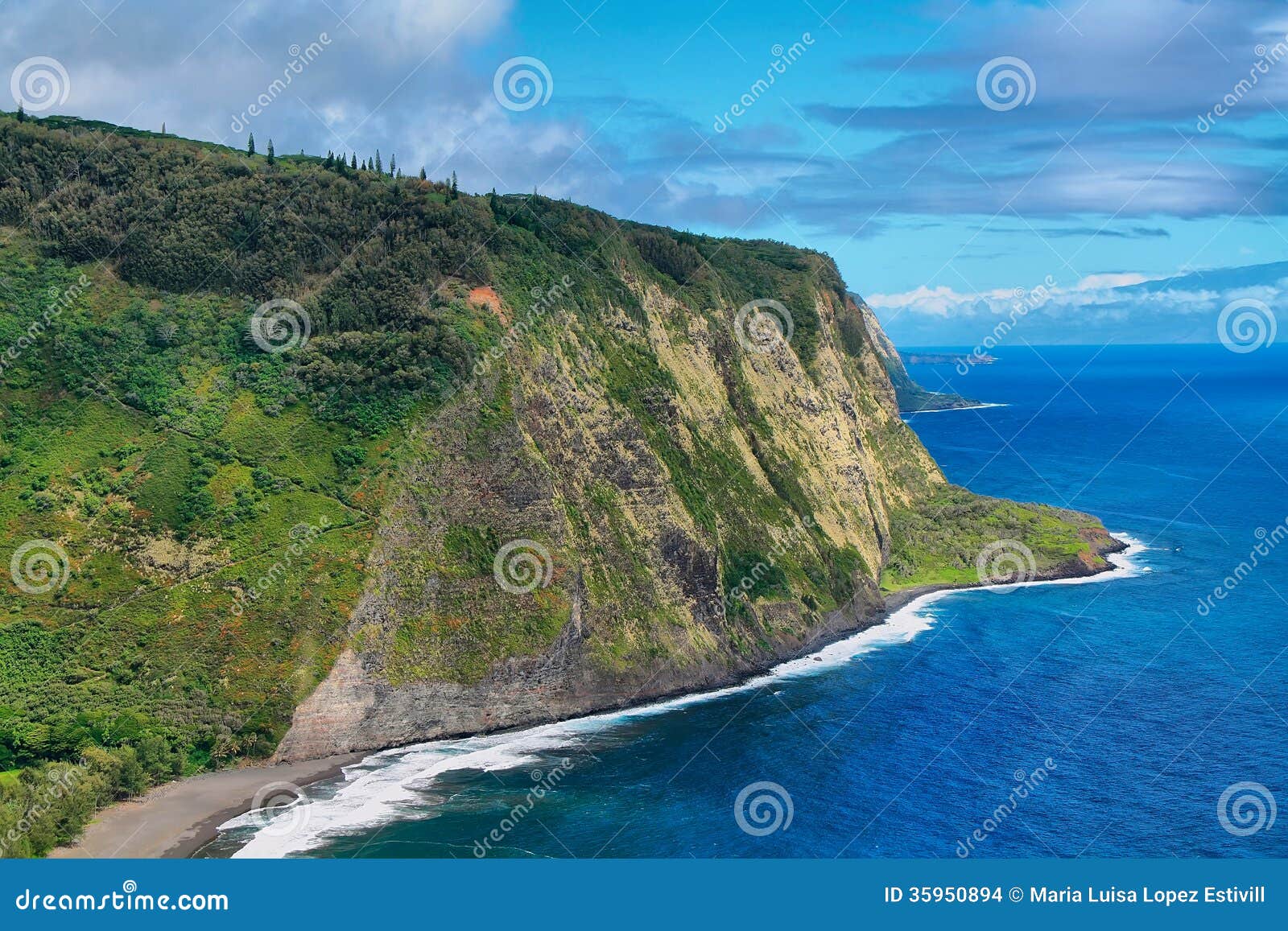 Waipio Valley View in Hawaii Stock Photo - Image of pounding, lush ...