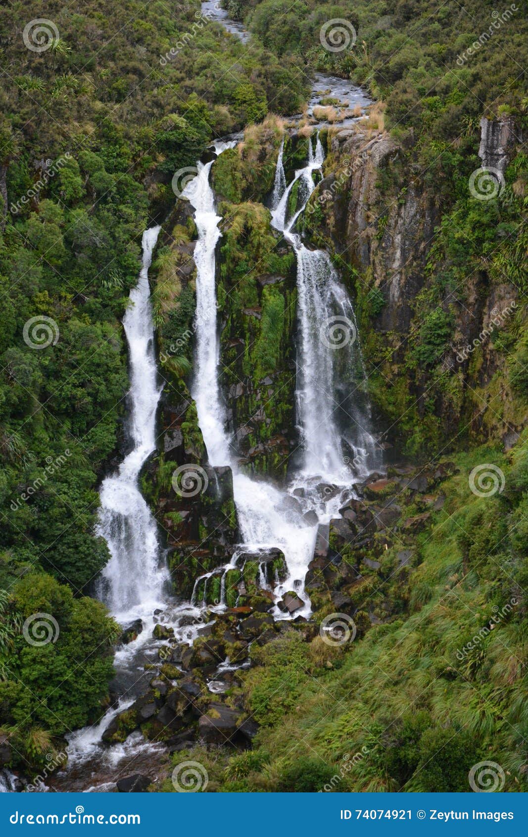 Waipunga Falls in New Zealand. Stock Image - Image of falls, aotearoa: 74074921