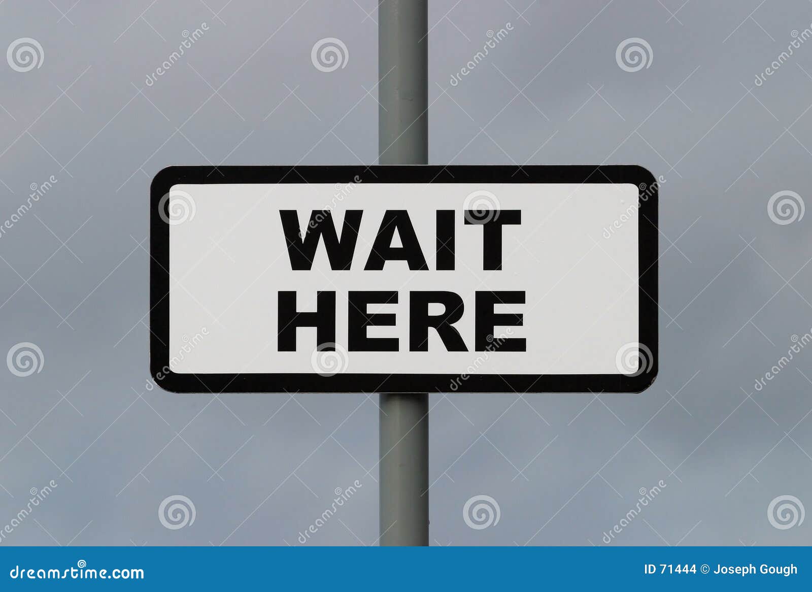 Wait Here stock photo. Image of regulation, white, wait - 71444