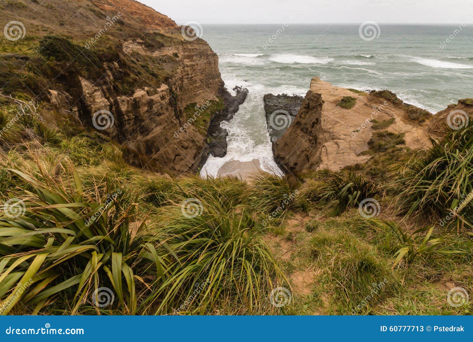 Waitakere Ranges Regional Park New Zealand Stock Photography ...