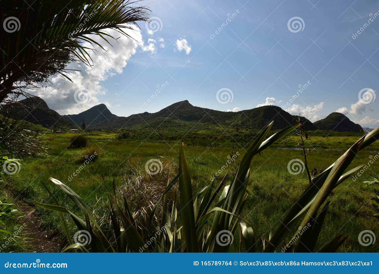 Waitakere Ranges Landscape from Whatipu Beach Area Stock Photo - Image ...