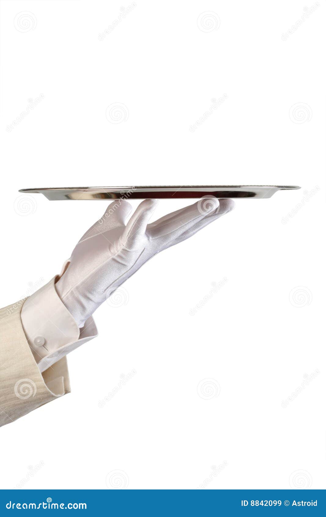 Waiter hand stock image. Image of human, beautiful, body - 8842099