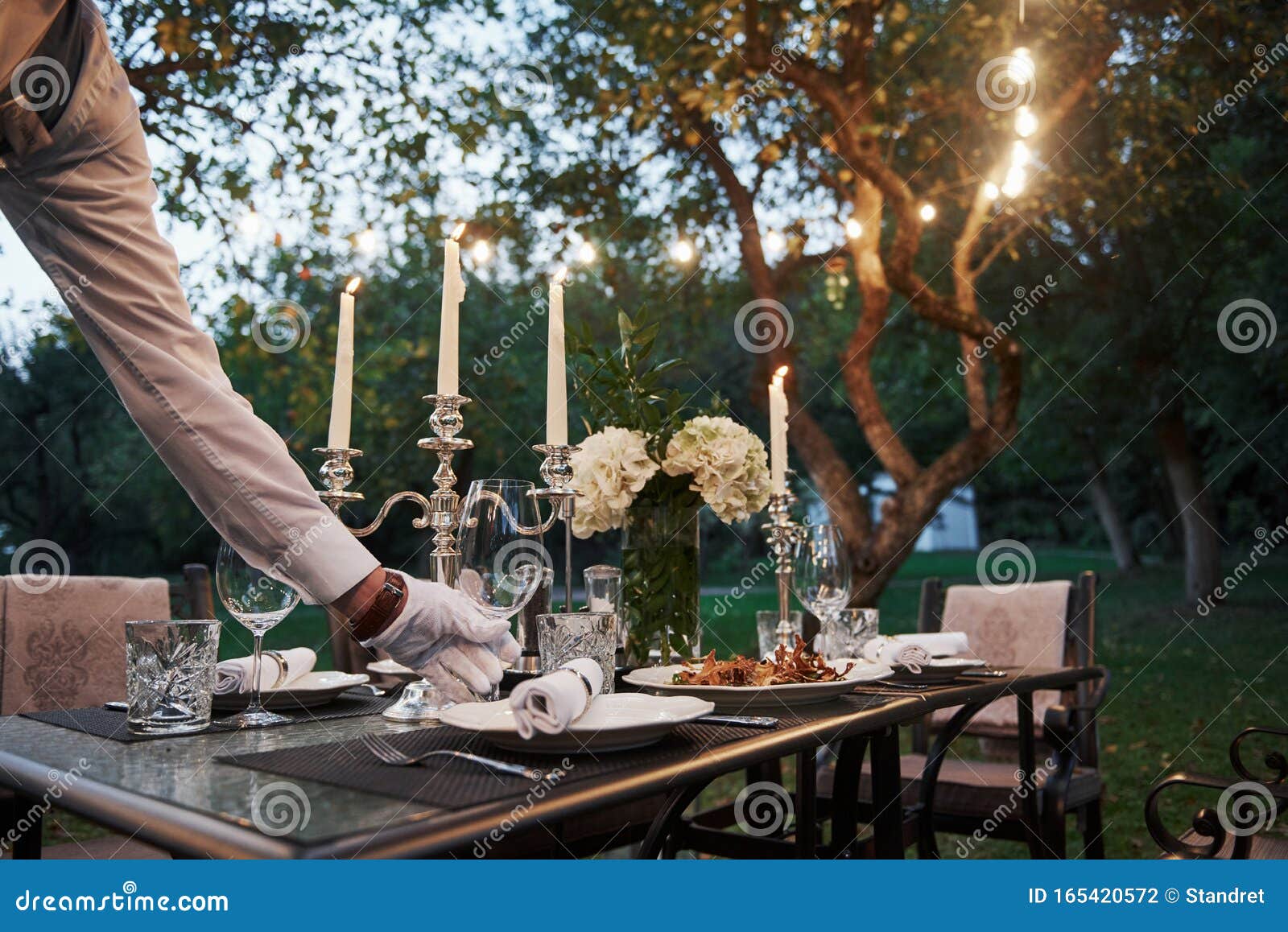 Waiter Hand in the Gloves. Worker is Engaged in Serving the Table Stock ...