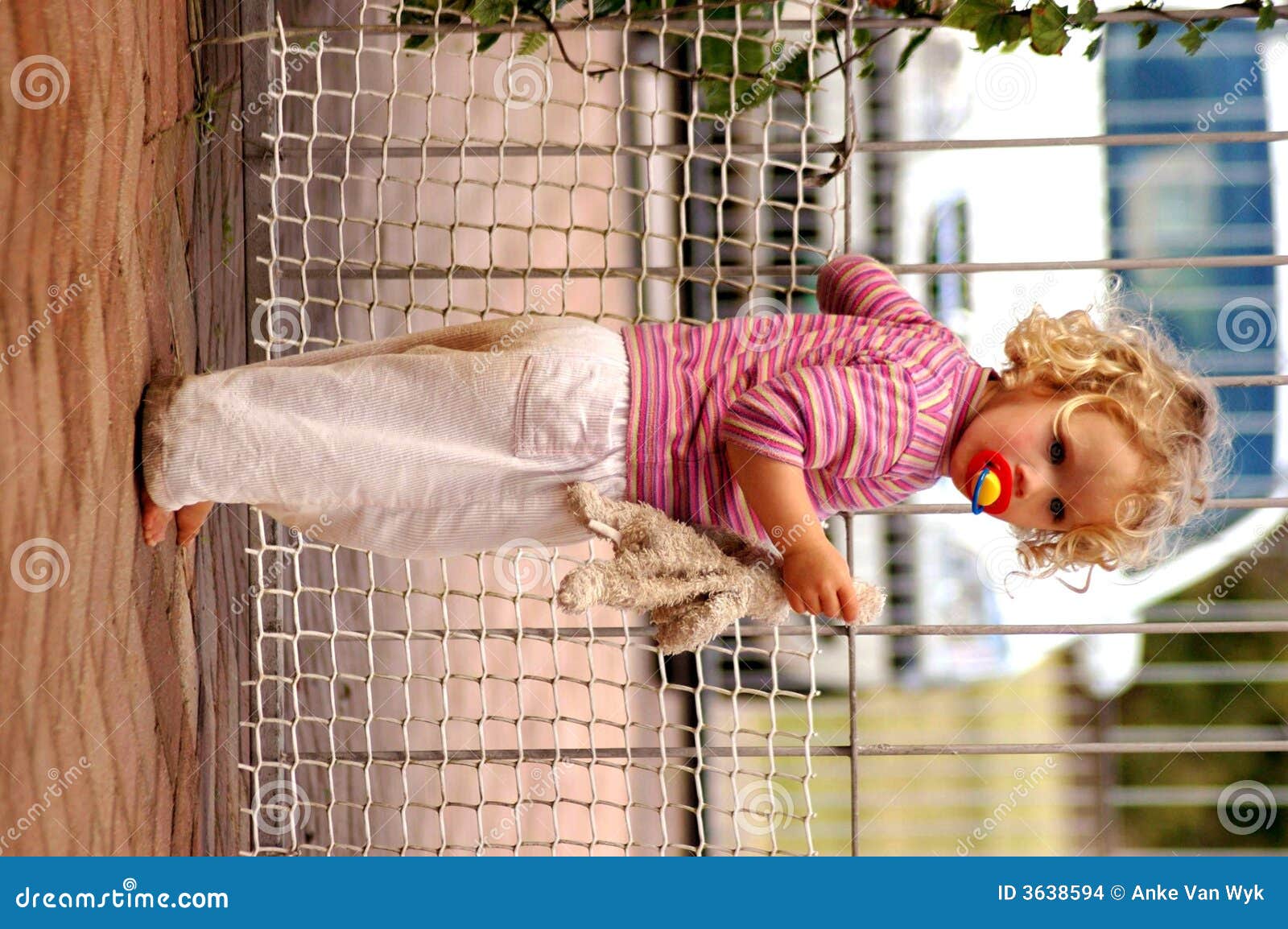 Waiting for daddy stock photo. Image of cute, fence, adorable - 3638594