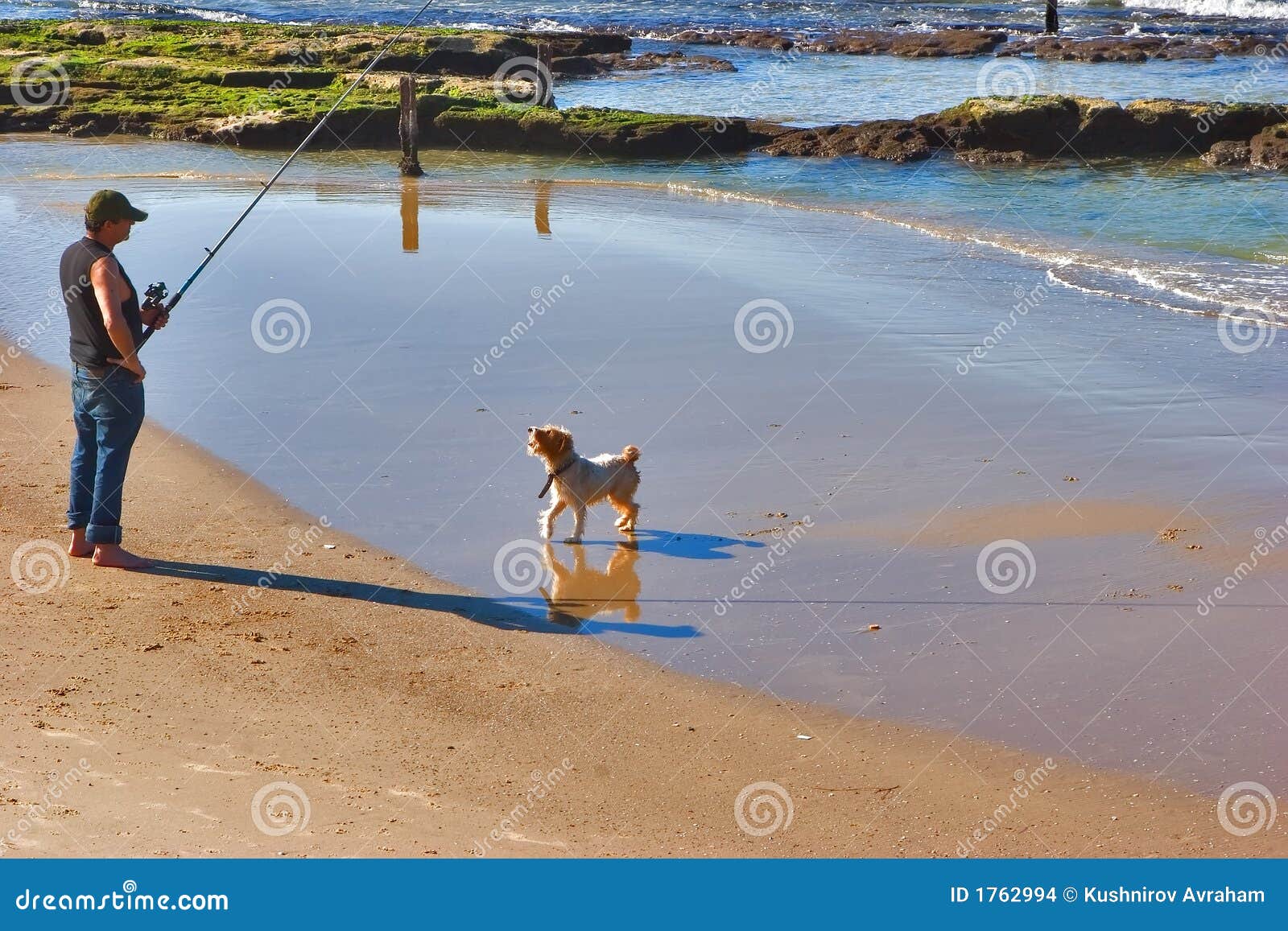Waiting for the fish stock photo. Image of freedom, edge - 1762994