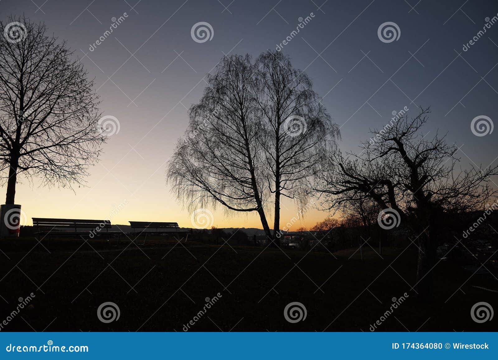 Waiting For Godot Tree