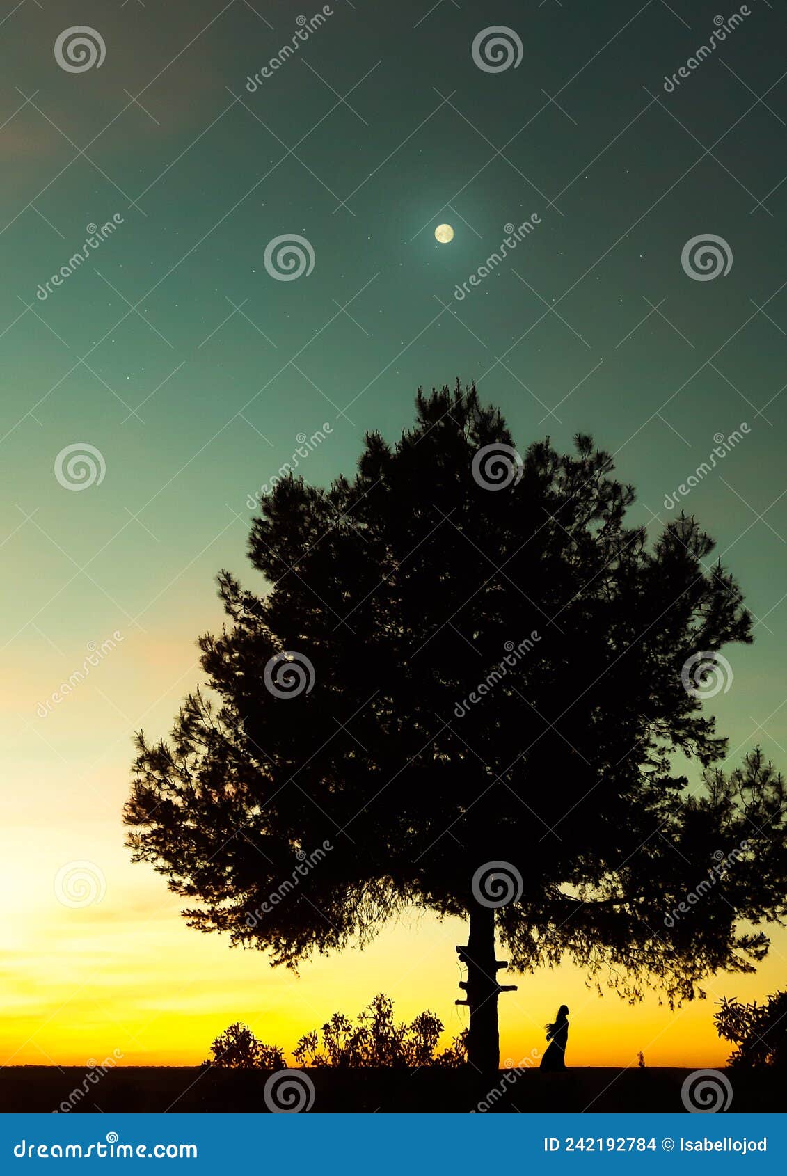Waiting for Her from the Tree and the Full Moon Stock Photo - Image of ...