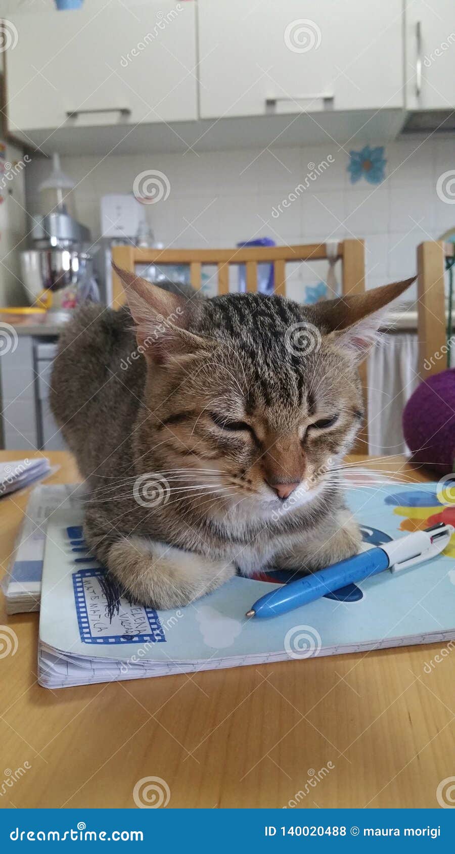 Waiting for homework stock photo. Image of waiting, homework - 140020488