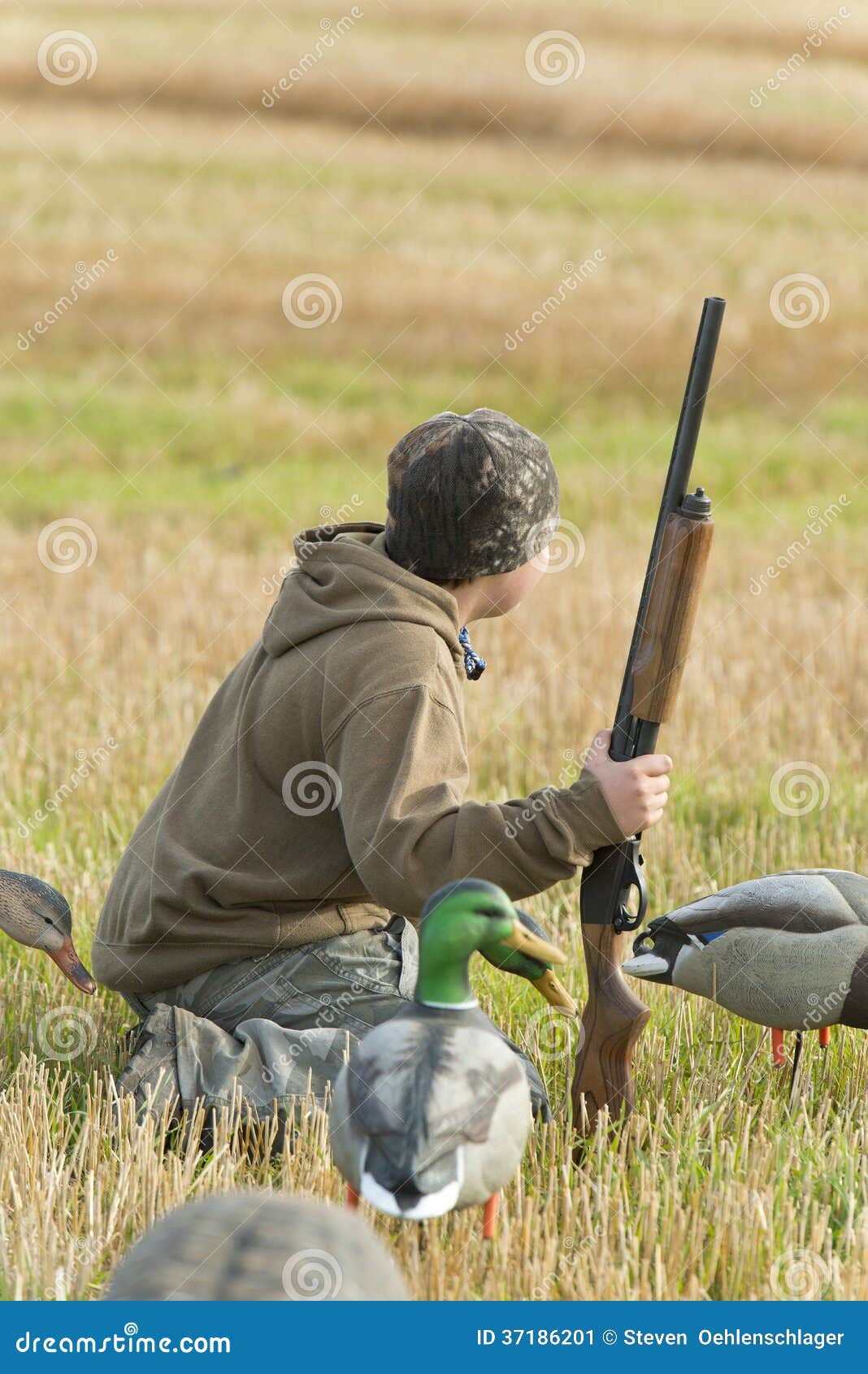 Waiting Hunter stock image. Image of young, outdoors - 37186201