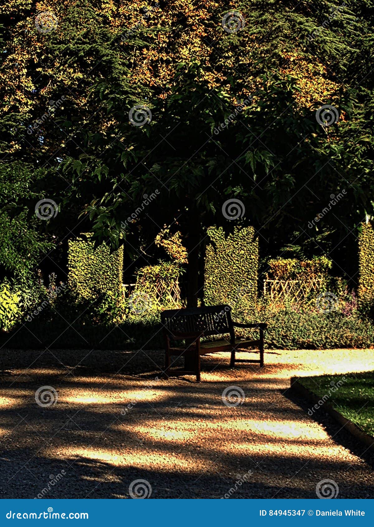 Waiting stock image. Image of seat, solitude, garden - 84945347
