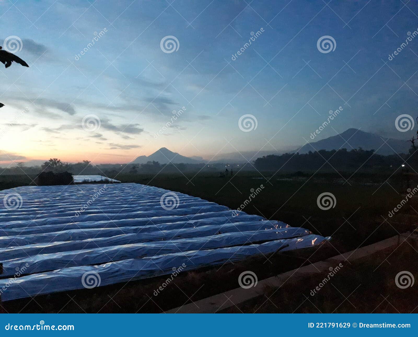 Waiting for the morning stock image. Image of sunlight - 221791629