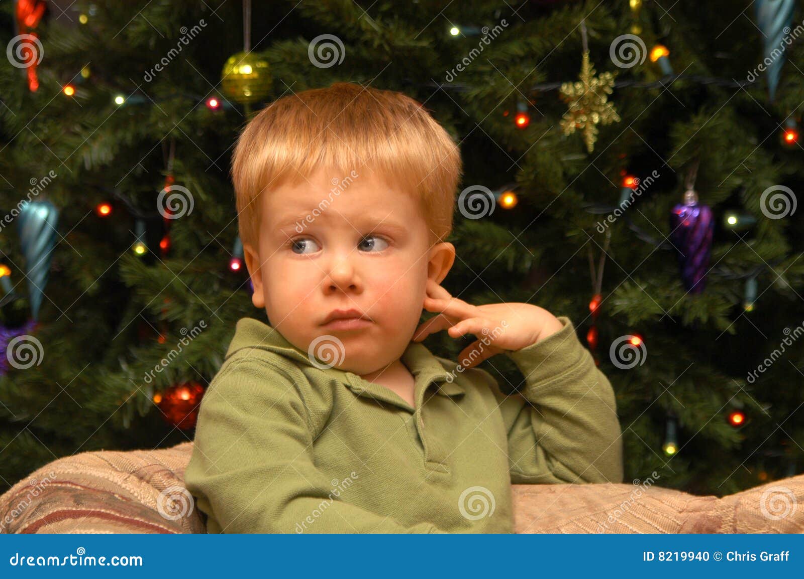 Waiting Patiently stock photo. Image of expression, green - 8219940