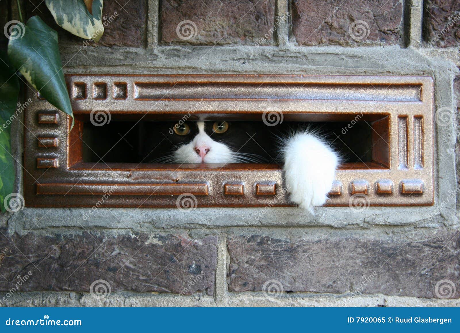 Waiting for the postman, stock image. Image of white, lettre - 7920065