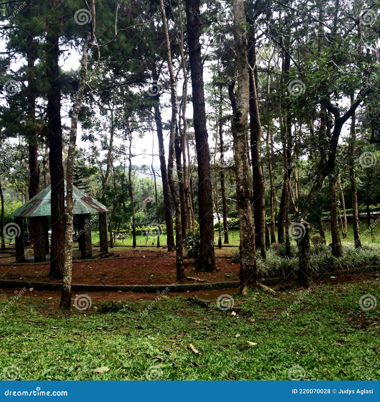 Waiting Shed in Pacdal Baguio City Stock Photo - Image of city, waiting ...