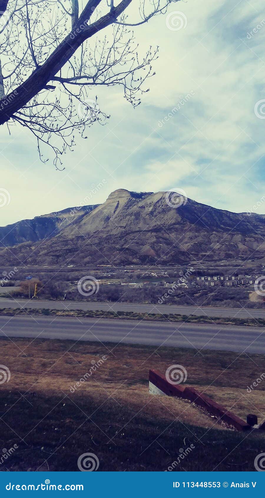 Waiting for spring stock image. Image of season, spring - 113448553