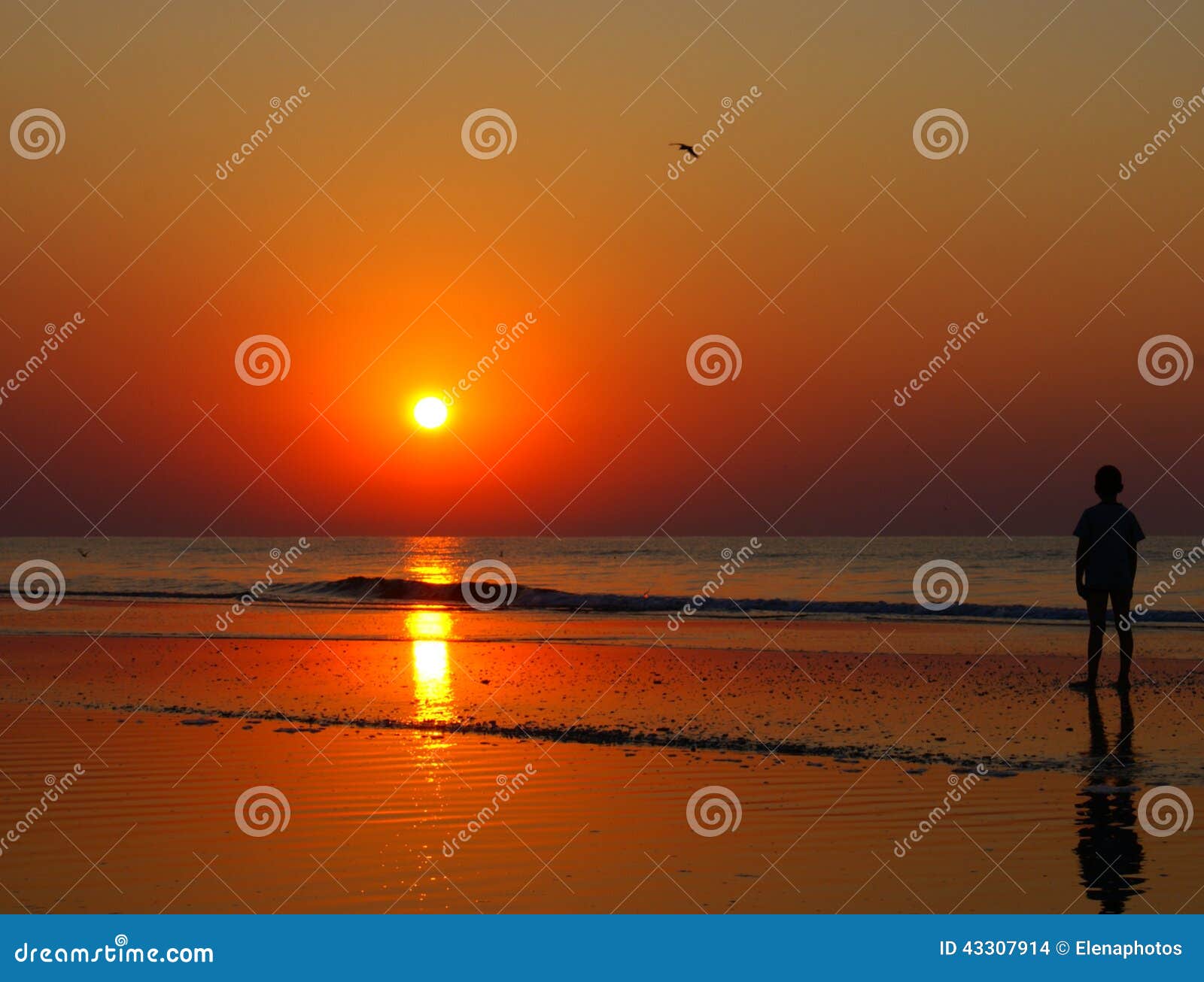 Waiting the sun stock photo. Image of europa, hope, black - 43307914
