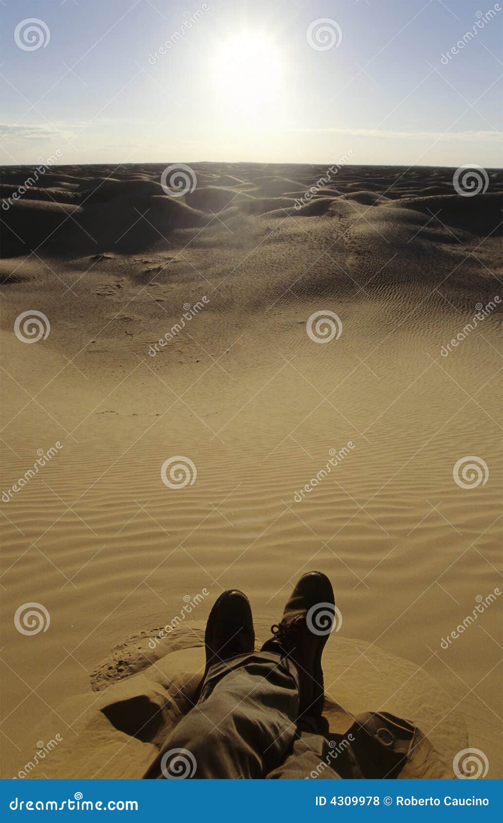 Waiting for the sunset stock photo. Image of desert, travel - 4309978