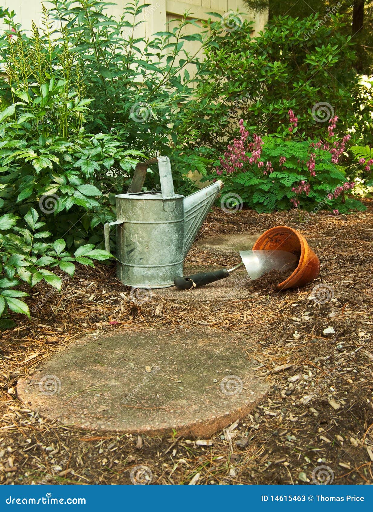 Waiting to Begin Gardening stock image. Image of flower - 14615463