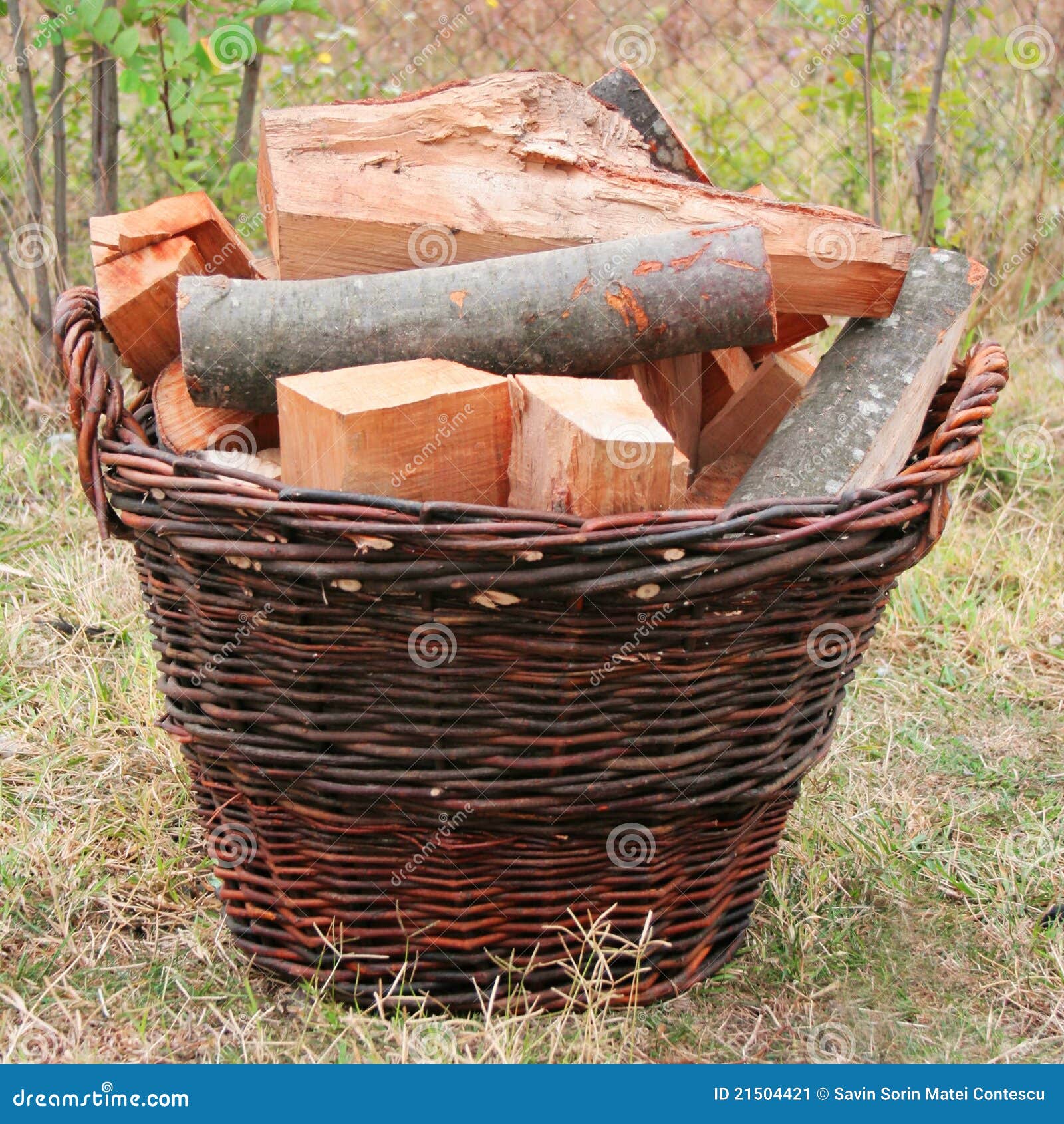 Waiting for the winter stock image. Image of cheap, woods - 21504421