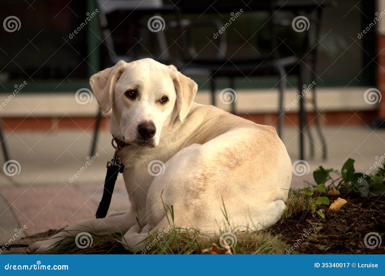 Waiting for you stock image. Image of eyes, beautiful - 35340017