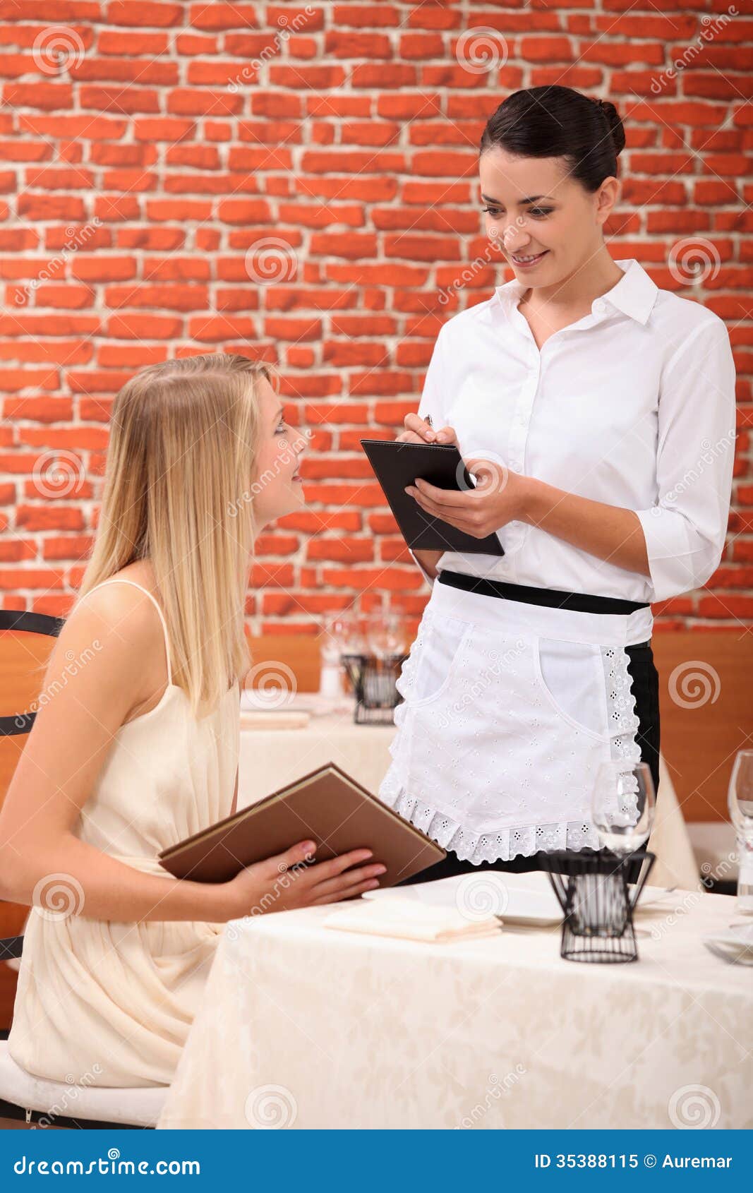 Waitress with customer stock image. Image of trade, flawless - 35388115