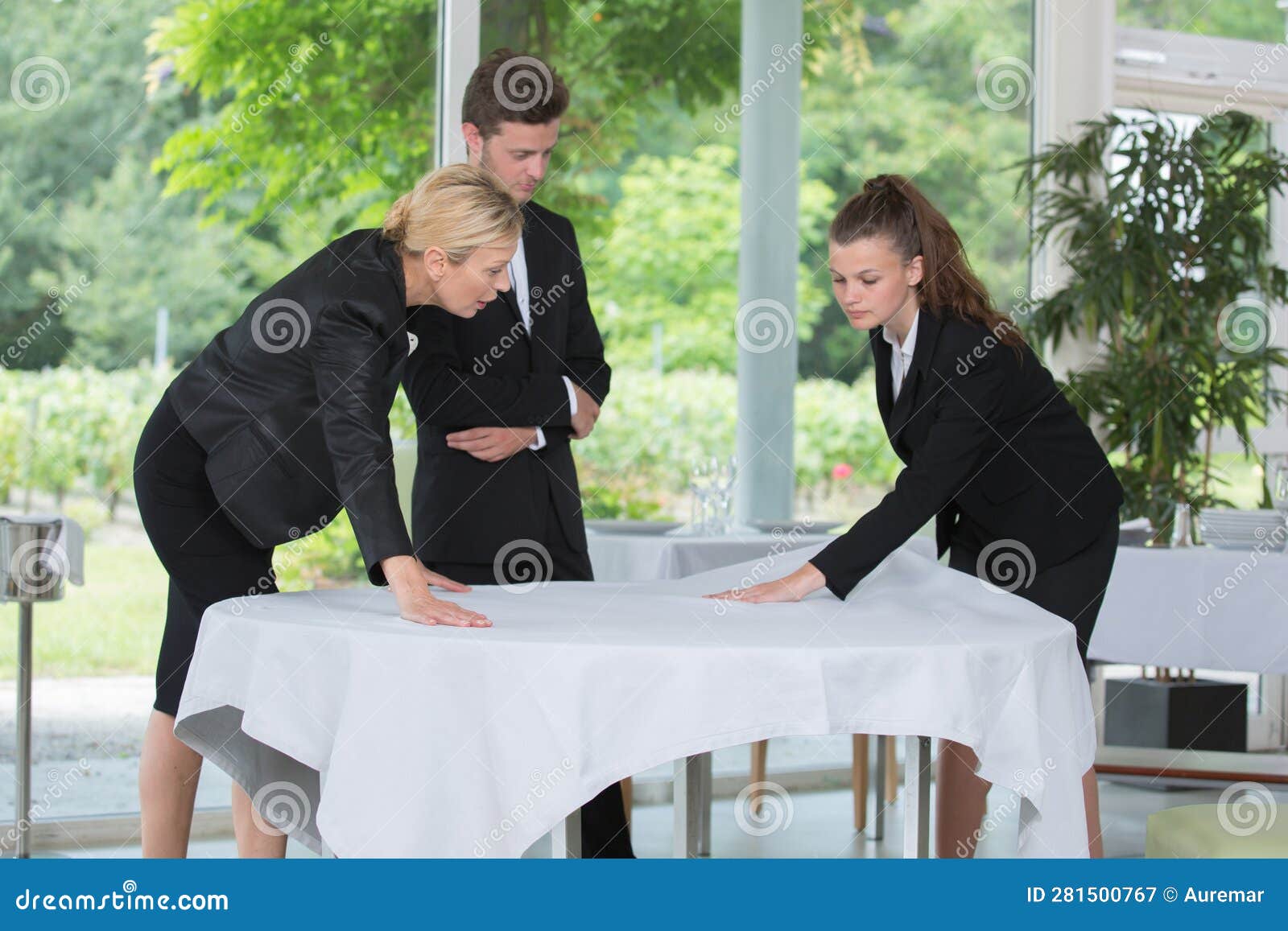Waitress Learning To Set Table in Restaurant Stock Image - Image of ...