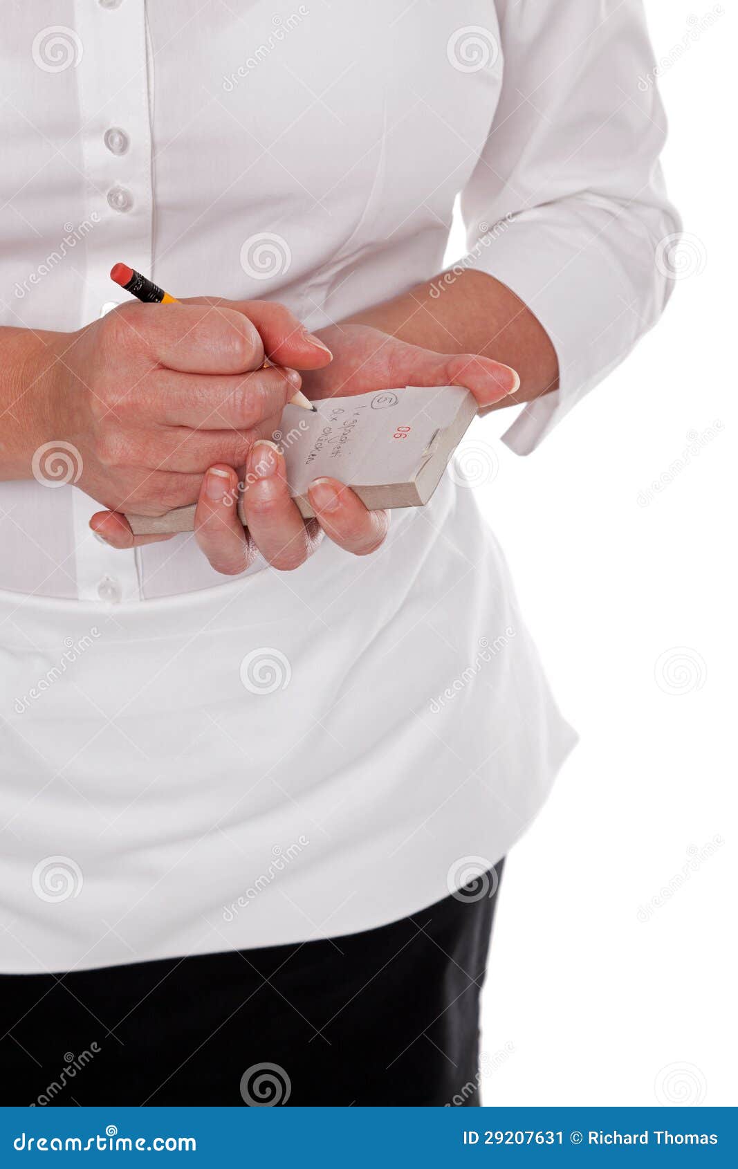 Waitress taking an order stock image. Image of taking - 29207631
