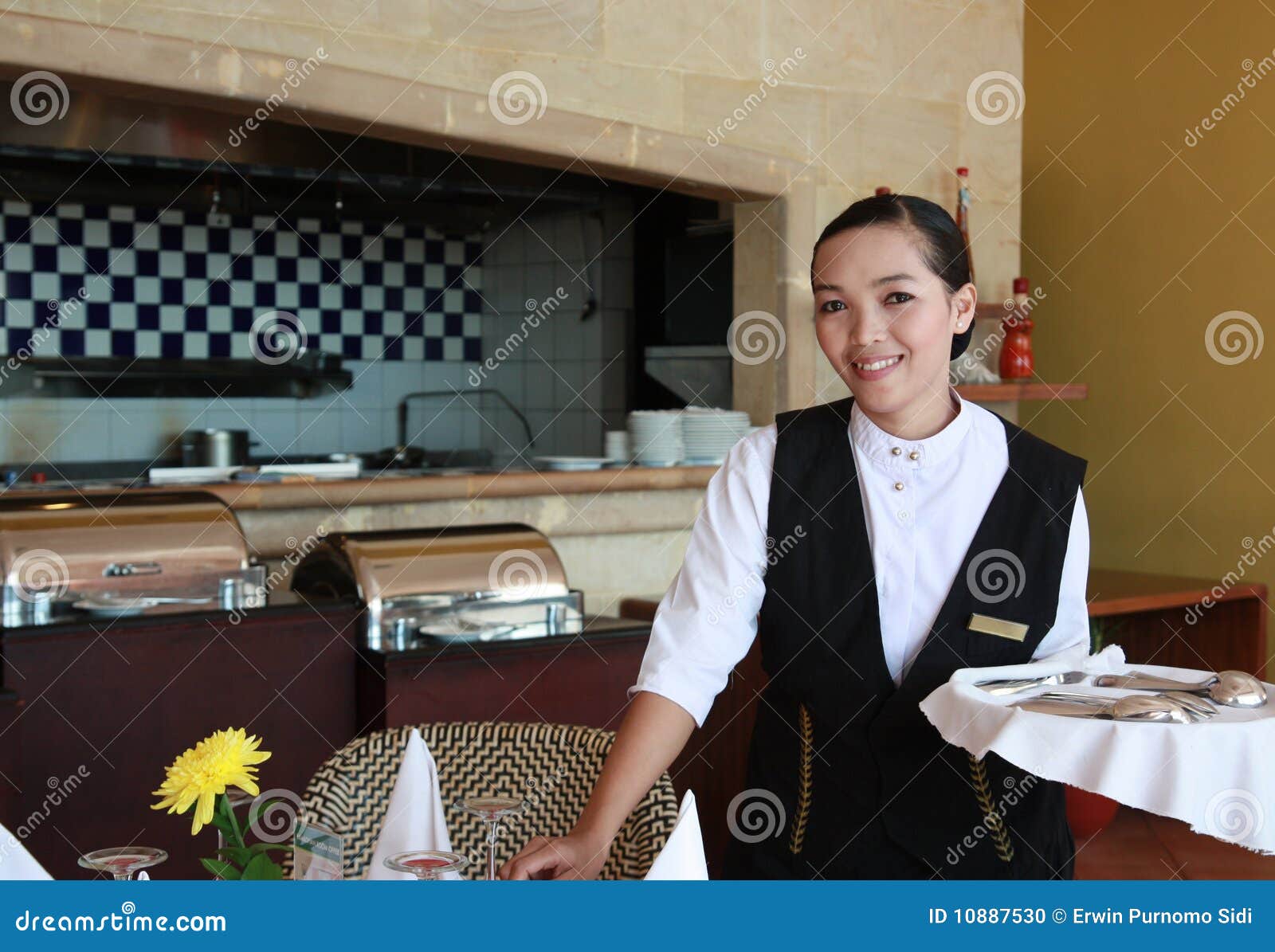 Waitress at work stock photo. Image of person, catering - 10887530