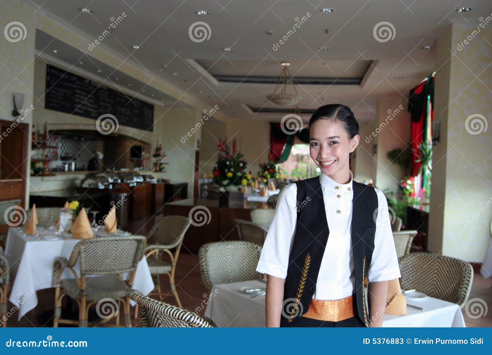 Waitress at work stock image. Image of food, hotel, catering - 5376883