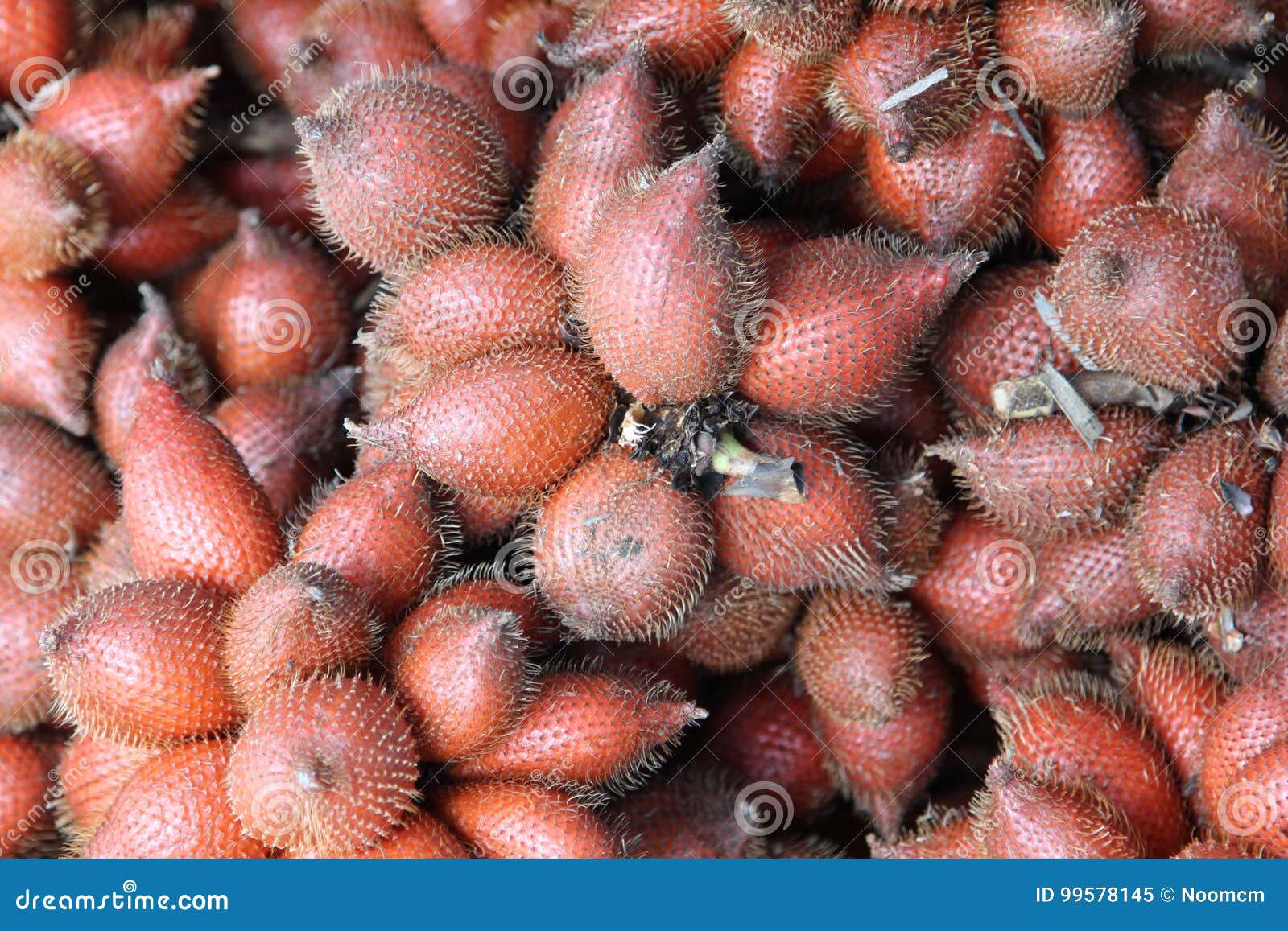 Waive fruit stock image. Image of palms, sale, waive - 99578145