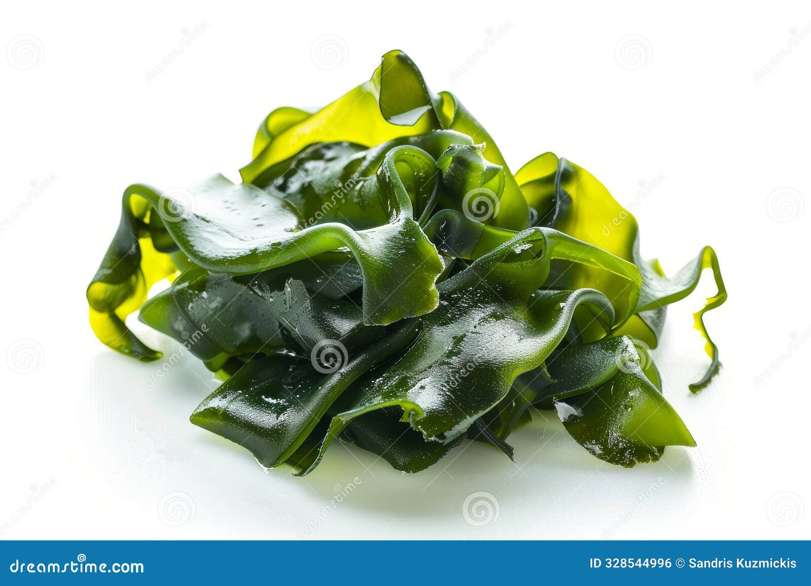 Wakame Algae on White Background. Generative AI. Stock Illustration ...