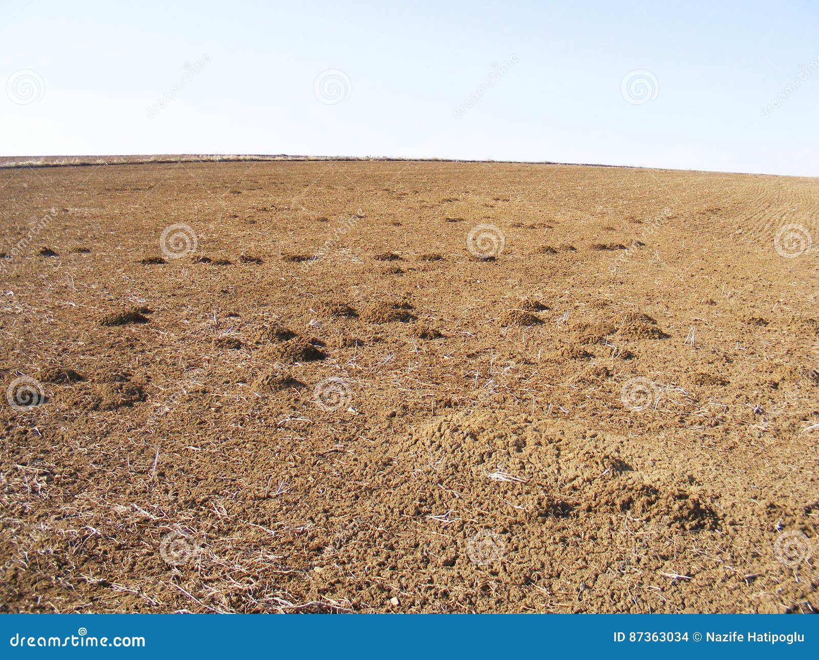 The Wake of Nature in the Steppe Climate and Steppe Climate, the Love ...