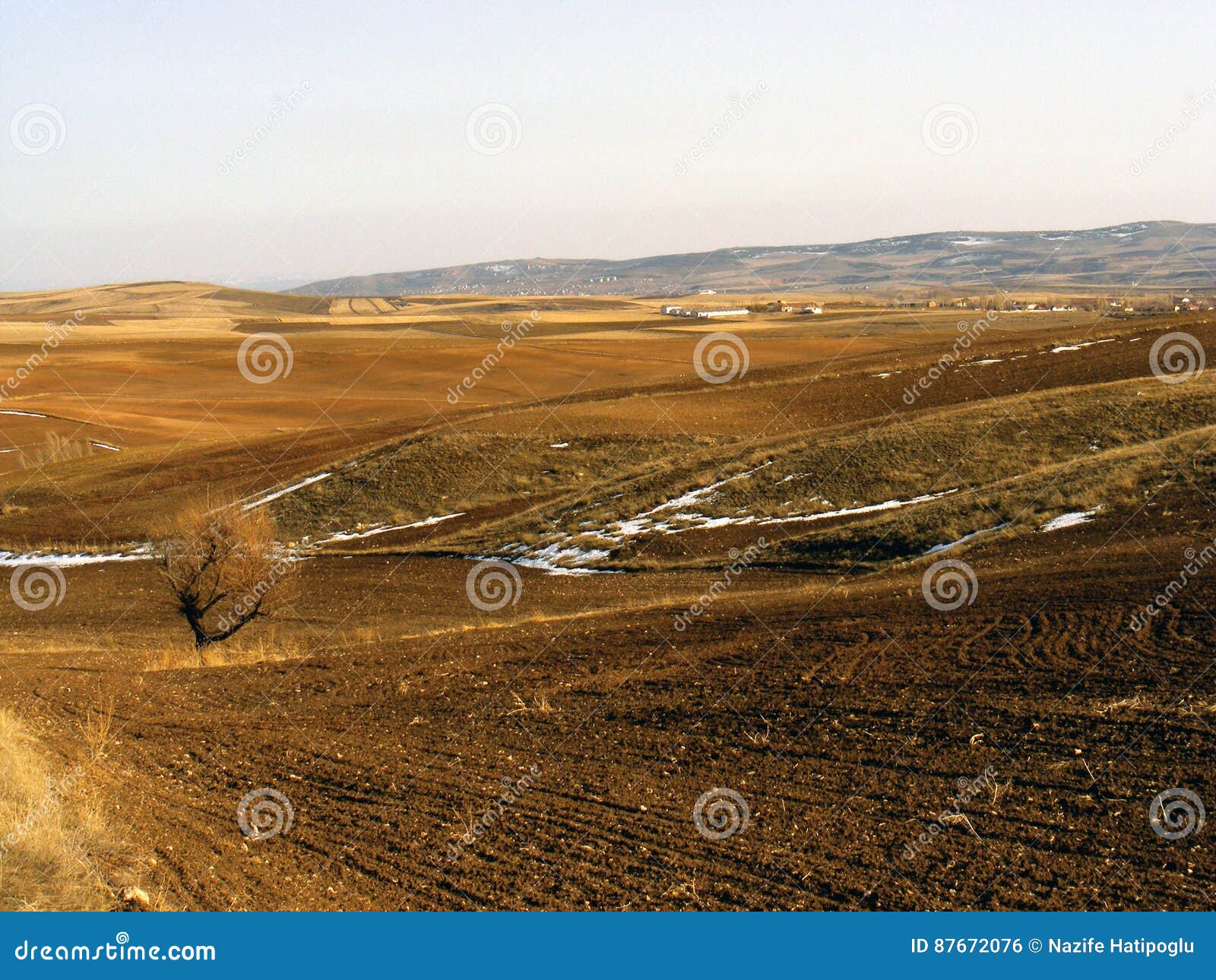 The Wake of Nature in the Steppe Climate and Steppe Climate, the Love ...