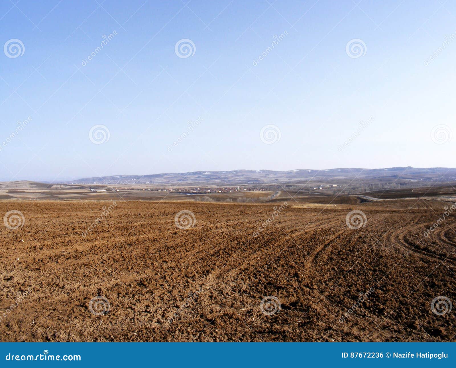 Steppe Climate