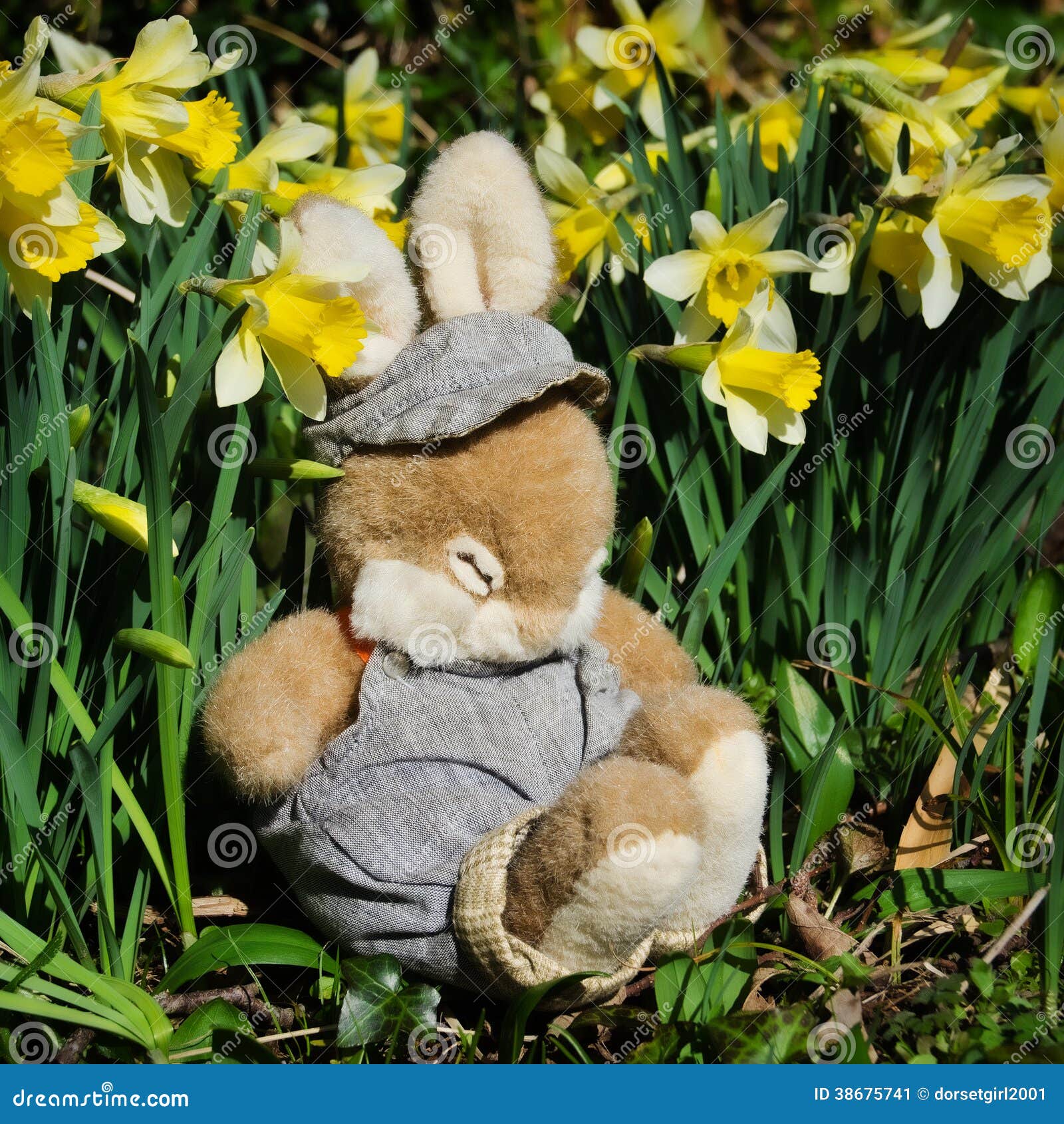 Wake Up it s Springtime stock image. Image of stilllife - 38675741