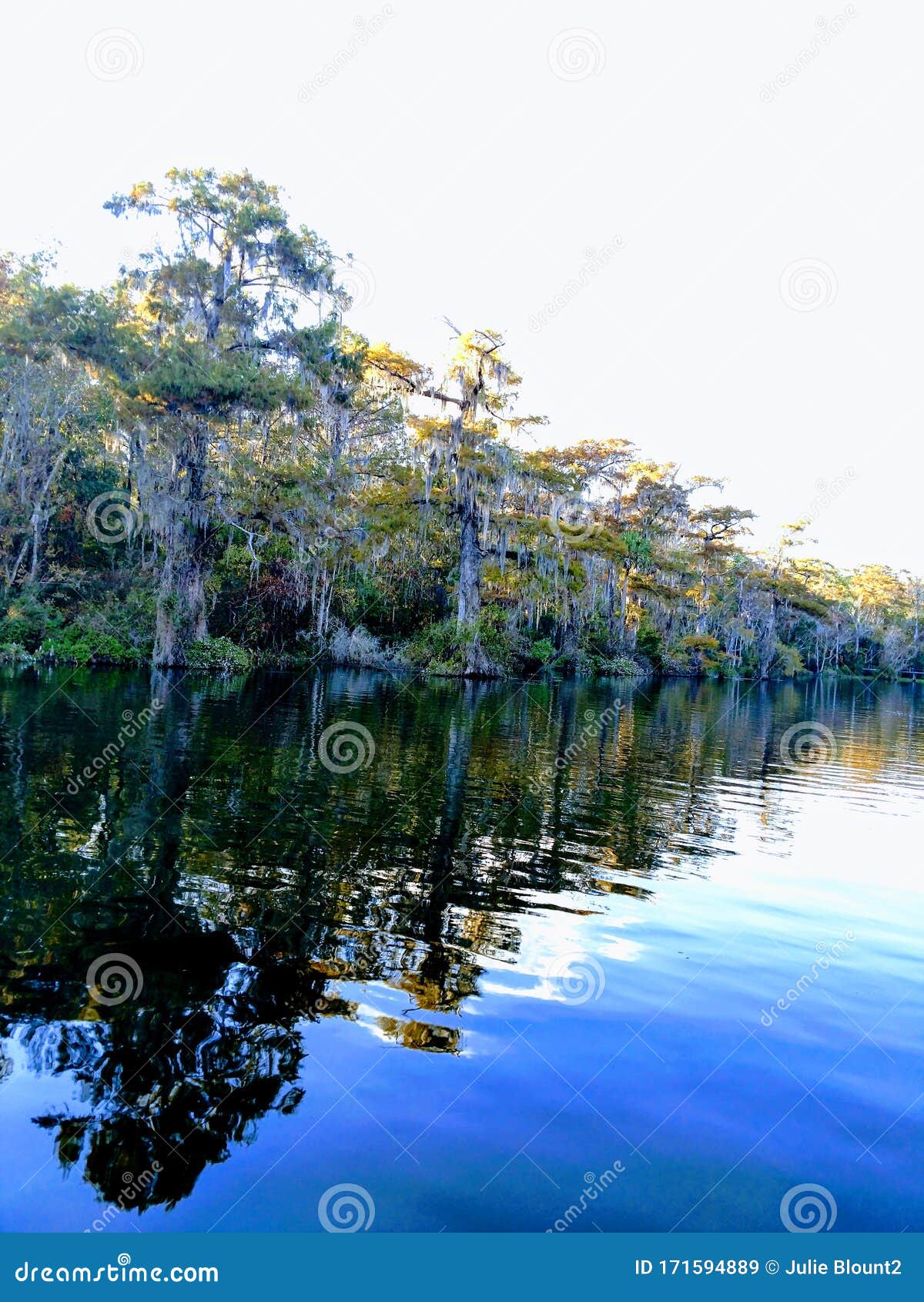 Wakulla River in Florida stock image. Image of wakulla - 171594889