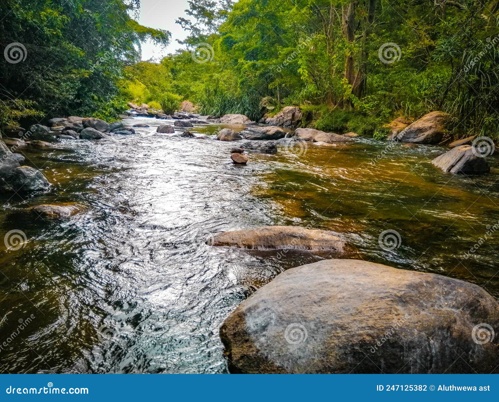 Walawa River, One of the Main 4 Rivers in Sri Lanka Stock Photo - Image ...