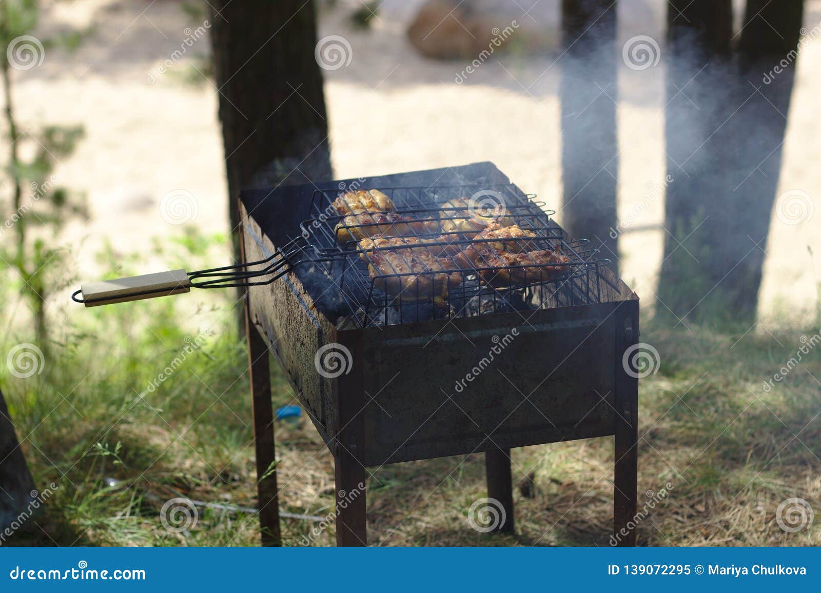 Wald-BBQ stockbild. Bild von picknick, zwiebel, grill - 139072295