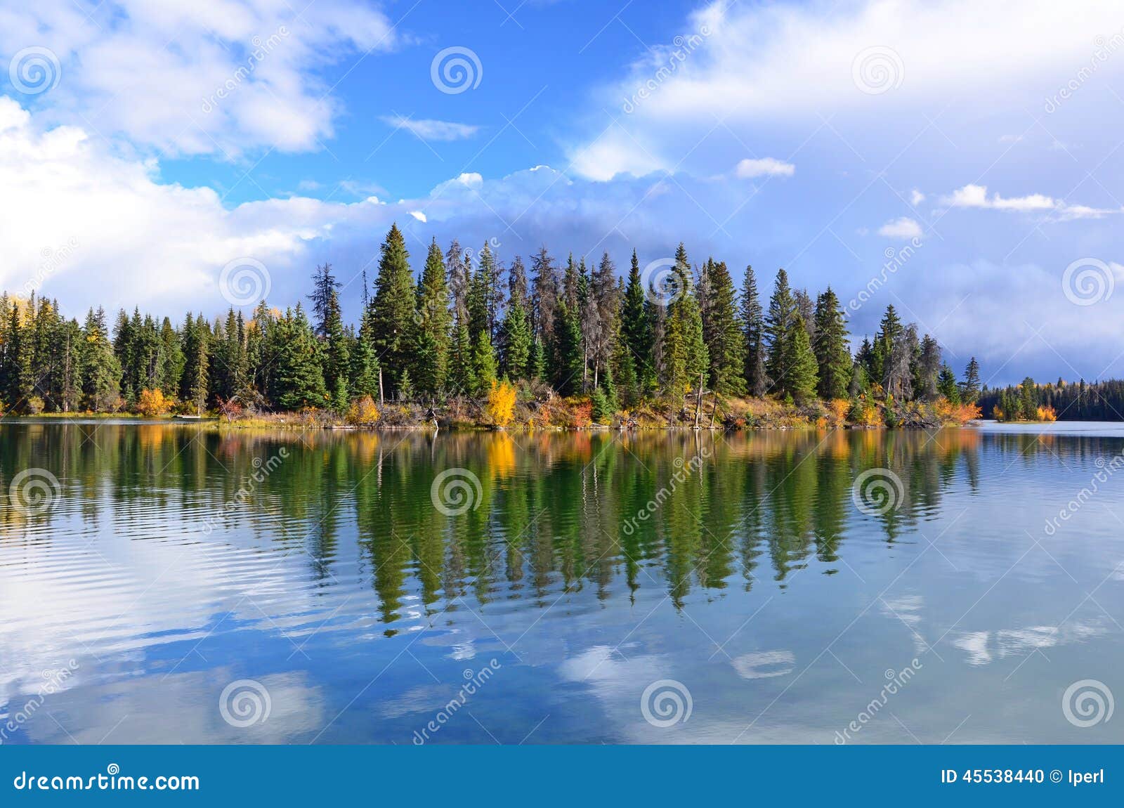 Wald und See im Herbst stockfoto. Bild von saisonal, wald - 45538440