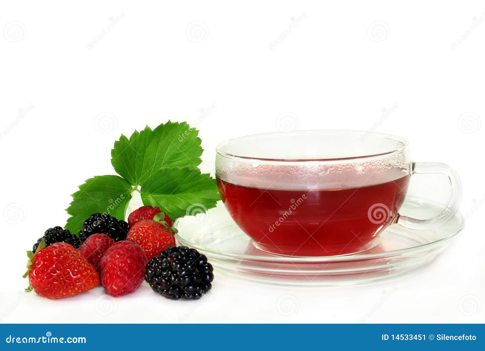 Waldfrucht-Tee stockbild. Bild von wald, gesund, kräfte - 14533451