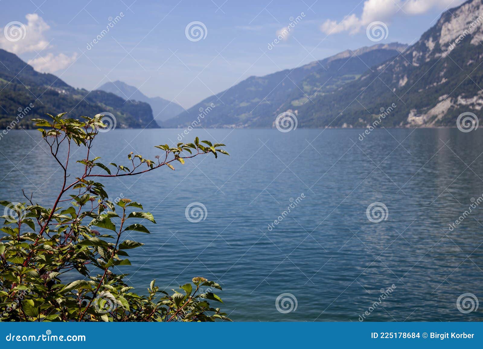 Walensee Lake in Murg, Switzerland Stock Photo - Image of sunny, hiker ...