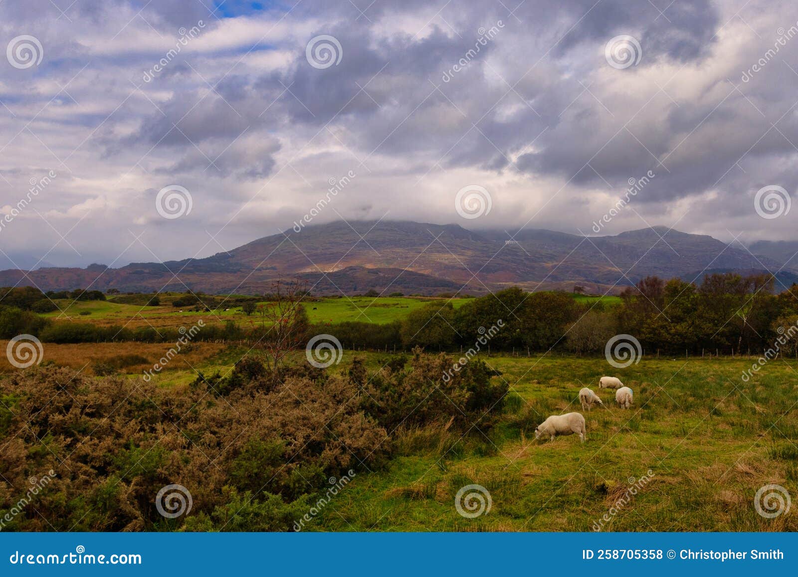 Wales stock photo. Image of scenery, peaceful, flag - 258705358