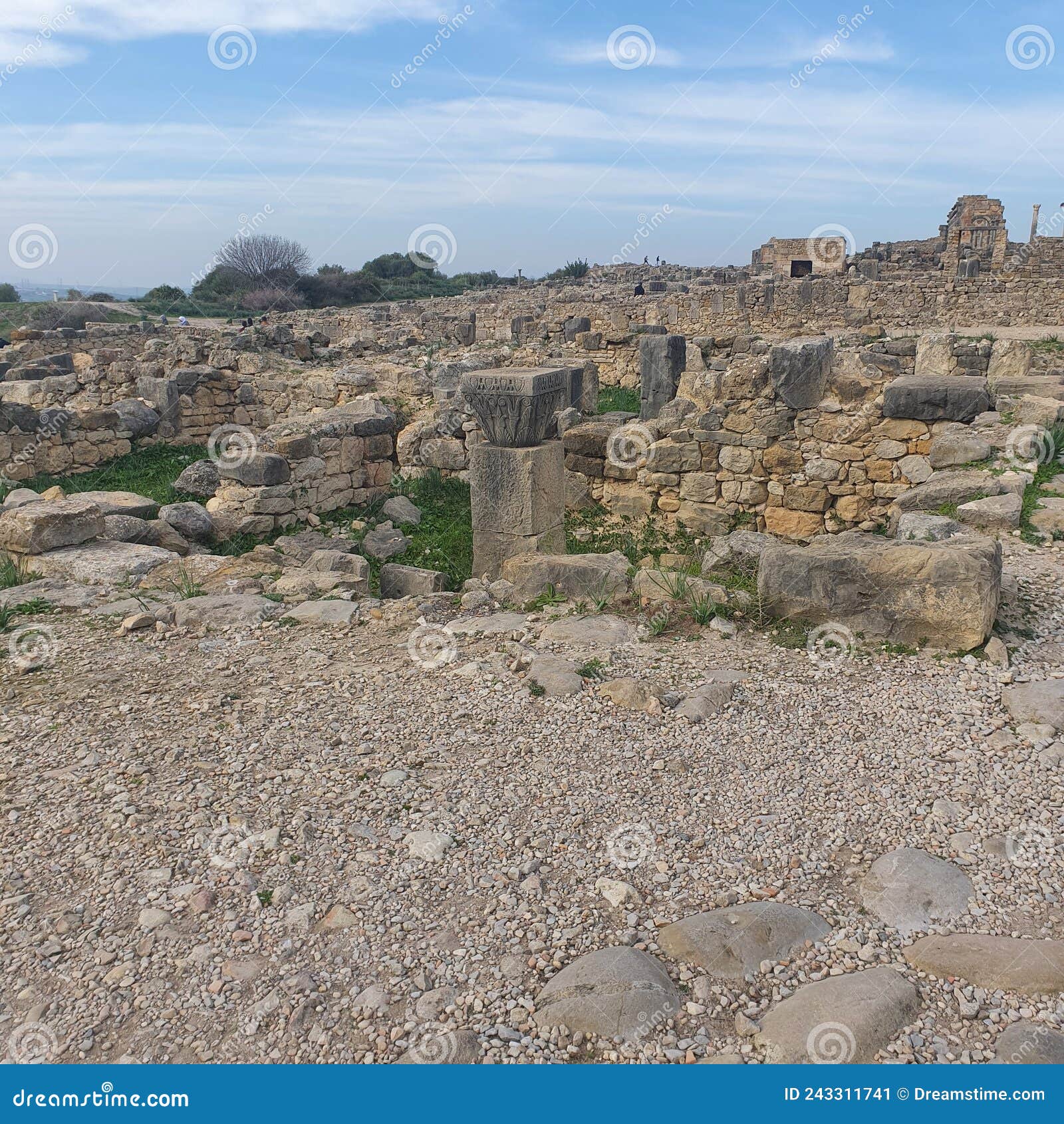 Walili Morocco Monu Stock Photos - Free & Royalty-Free Stock Photos ...