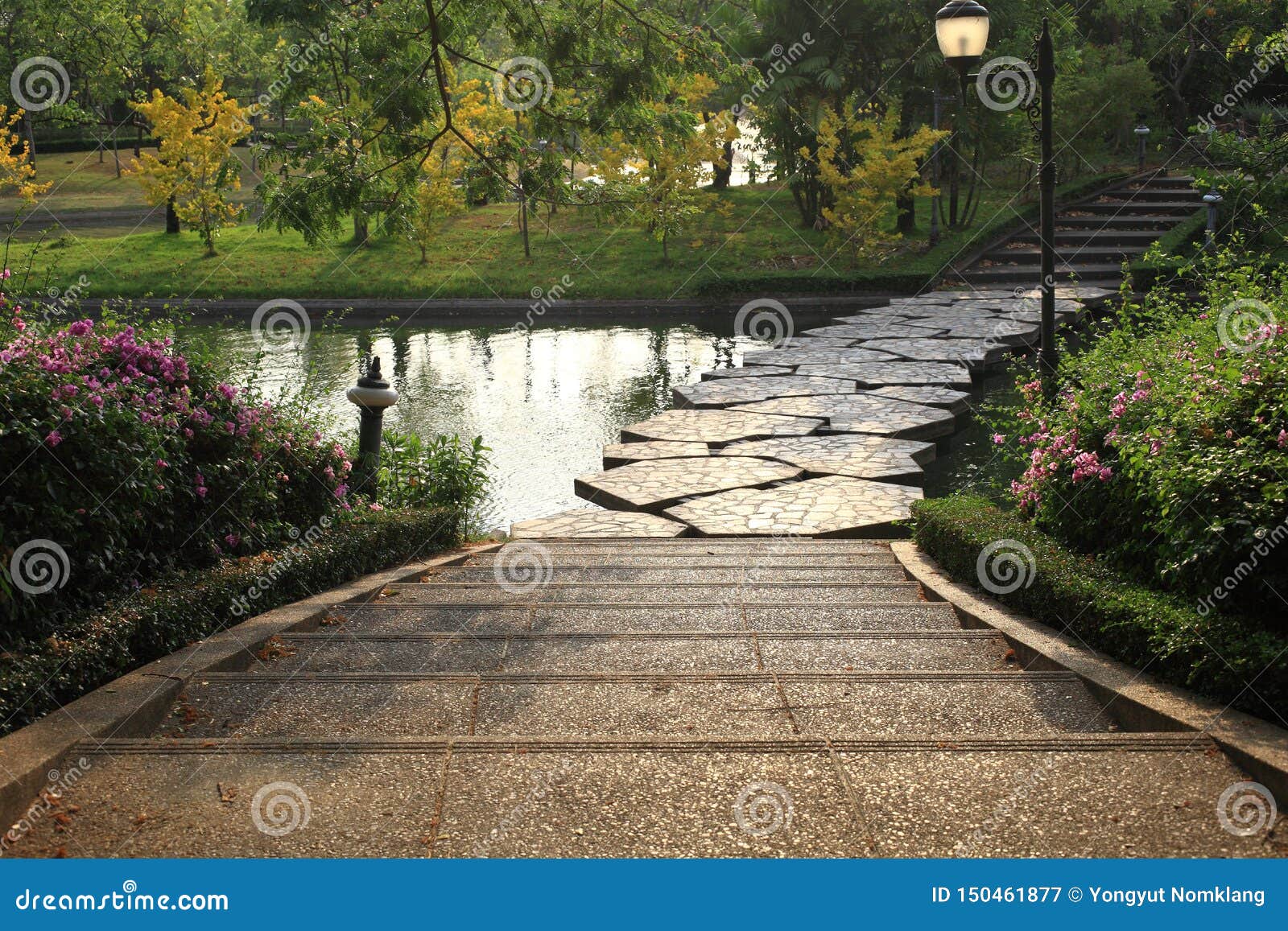 Walk across the pond. stock image. Image of cement, morning - 150461877